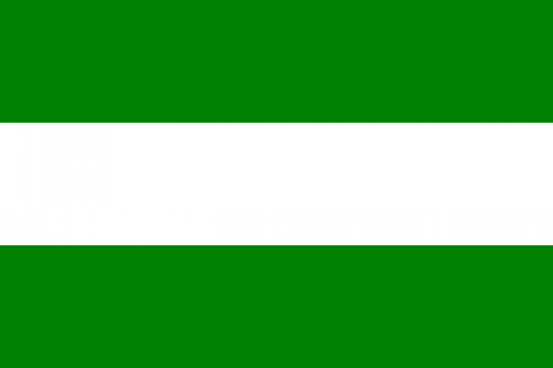 Top 10 Green And White Flags In The World - Feri.org