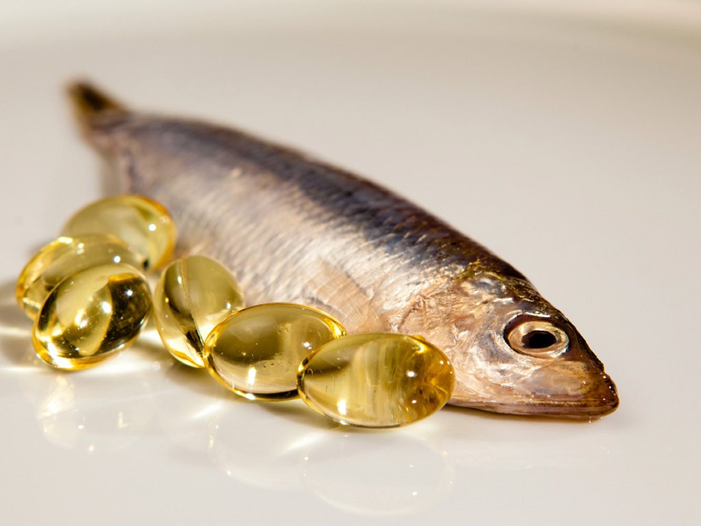 Should You Give Fish Oil to Your Pets? - Feri.org