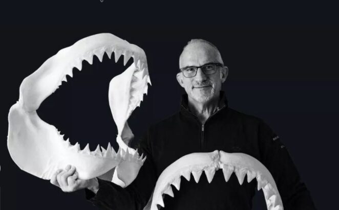 Turning Shark Skeletons Into Museum-Quality Specimens - Feri.org