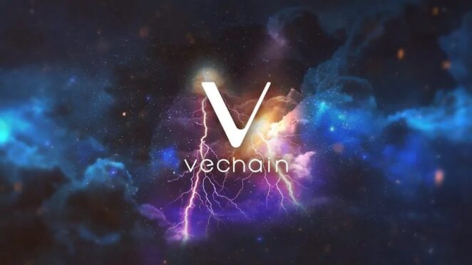 Why You Should Invest In VeChain: A Comprehensive Beginner's Guide ...