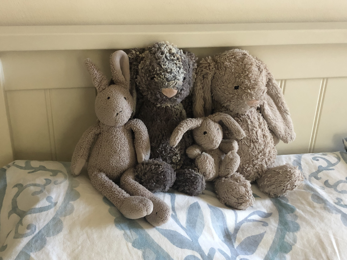The Psychology Behind Why We Love Stuffed Animals So Much - Feri.org