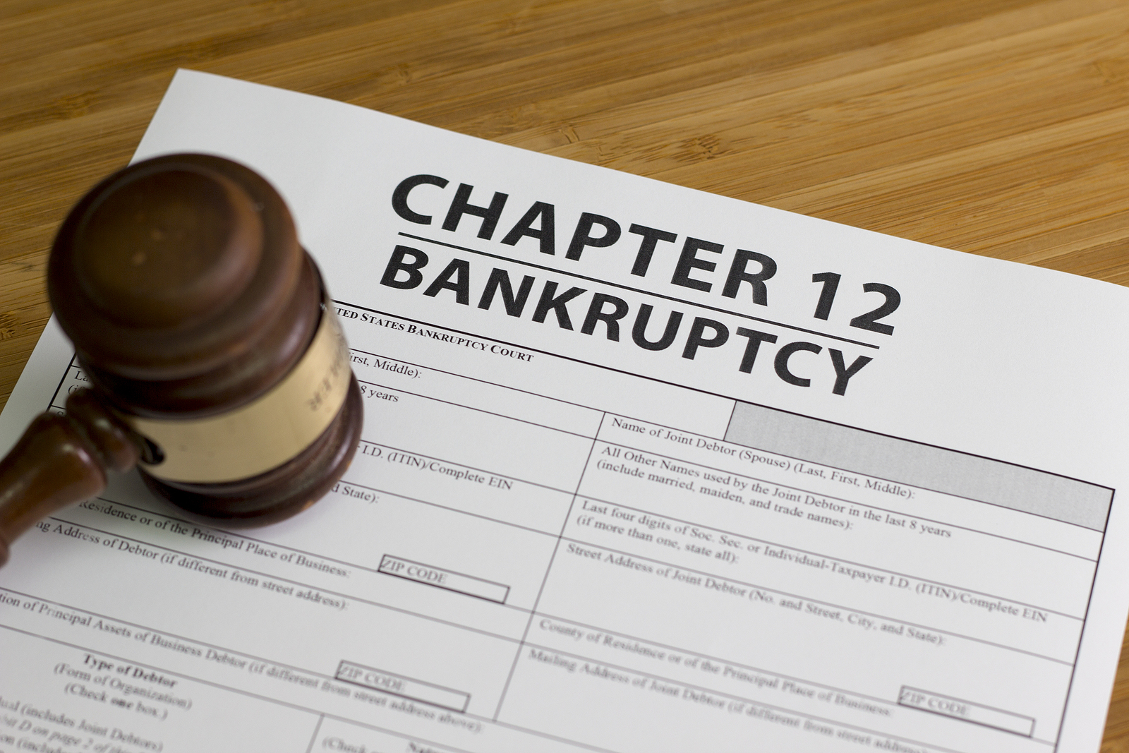 Chapter 12 Lawyers: Understanding Their Role in Agricultural Bankruptcy ...