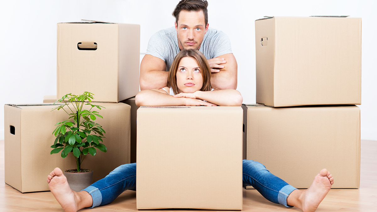 The Most Difficult Things to Move to a New Home - Feri.org